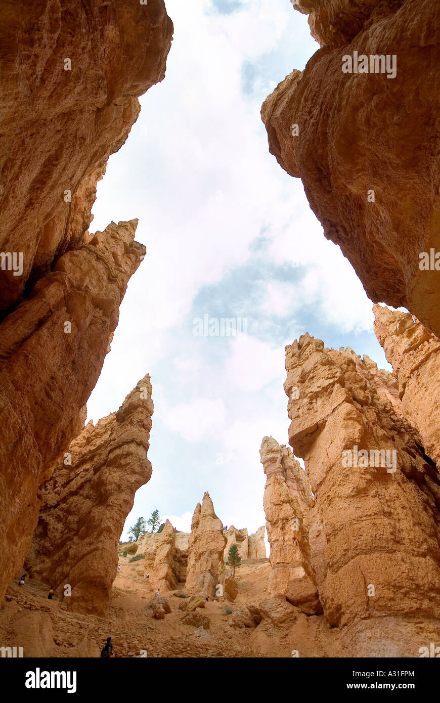 Navajo Loop trekking way. Bryce Canyon National Park. Utah. USA Stock ...
