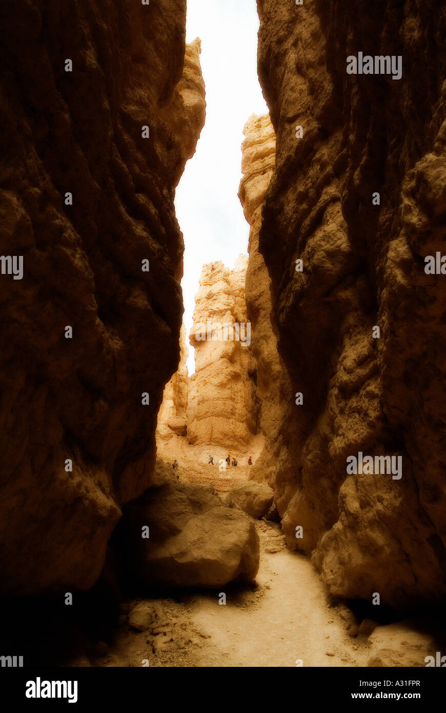 Navajo Loop trekking way. Bryce Canyon National Park. Utah. USA Stock ...