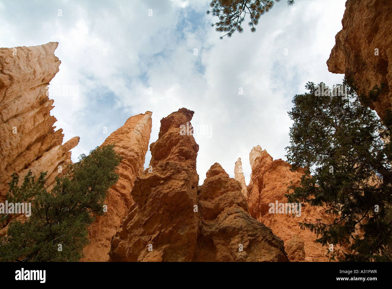 Navajo Loop trekking way. Bryce Canyon National Park. Utah. USA Stock ...