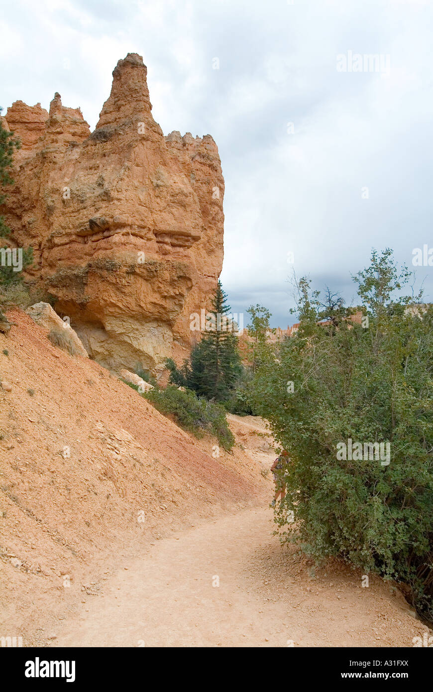 Navajo Loop trekking way. Bryce Canyon National Park. Utah. USA Stock ...