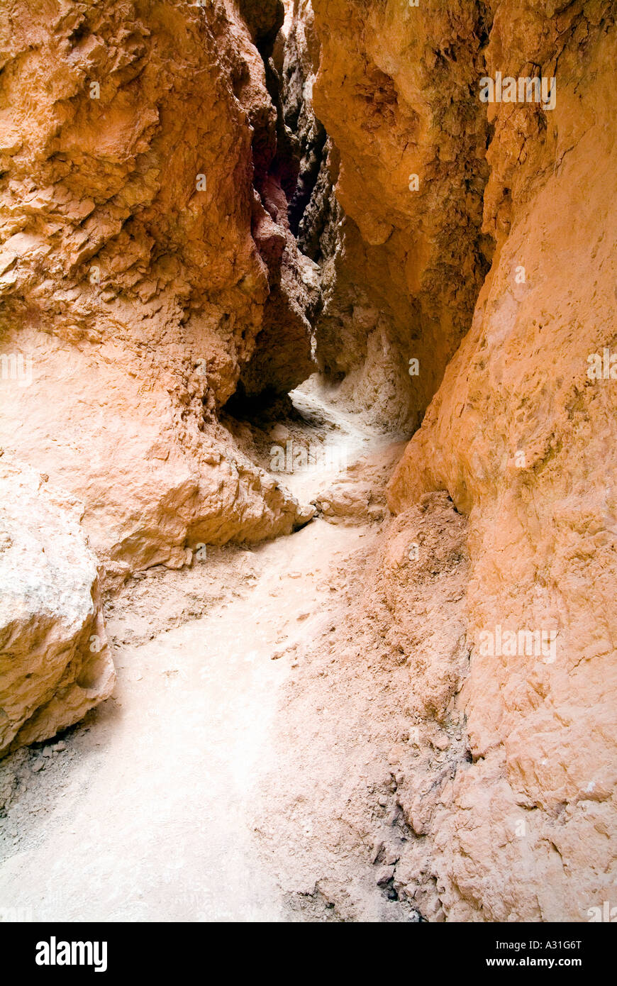 Navajo Loop trekking way. Bryce Canyon National Park. Utah. USA Stock ...
