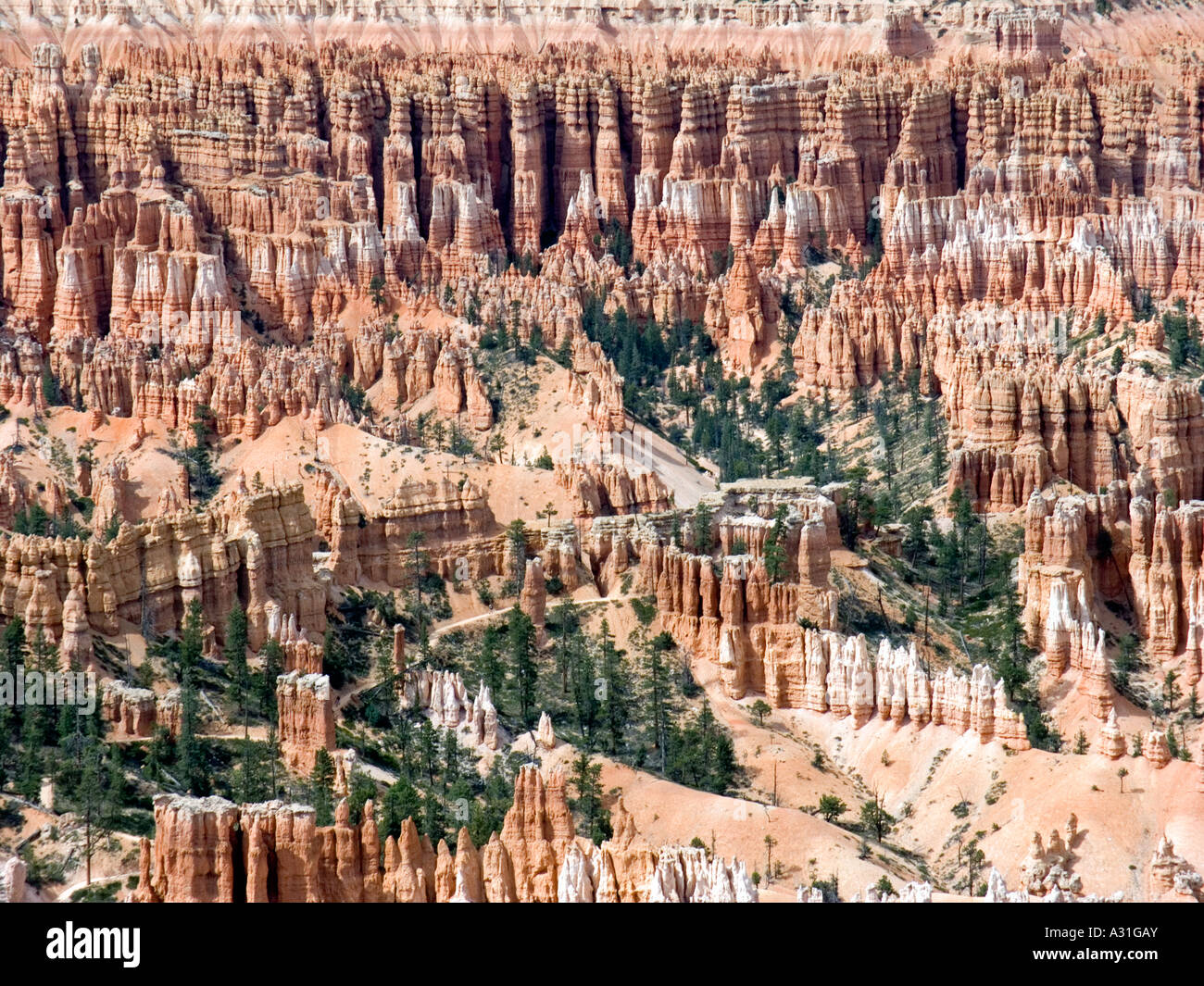 Bryce Amphitheater. Bryce Canyon National Park. Utah. USA Stock Photo ...