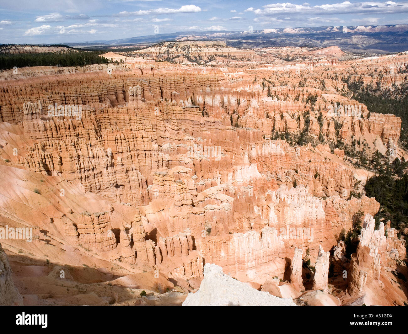 Bryce Amphitheater. Bryce Canyon National Park. Utah State. USA Stock ...