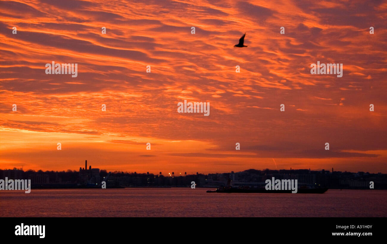 Brooklyn harbor hi-res stock photography and images - Alamy