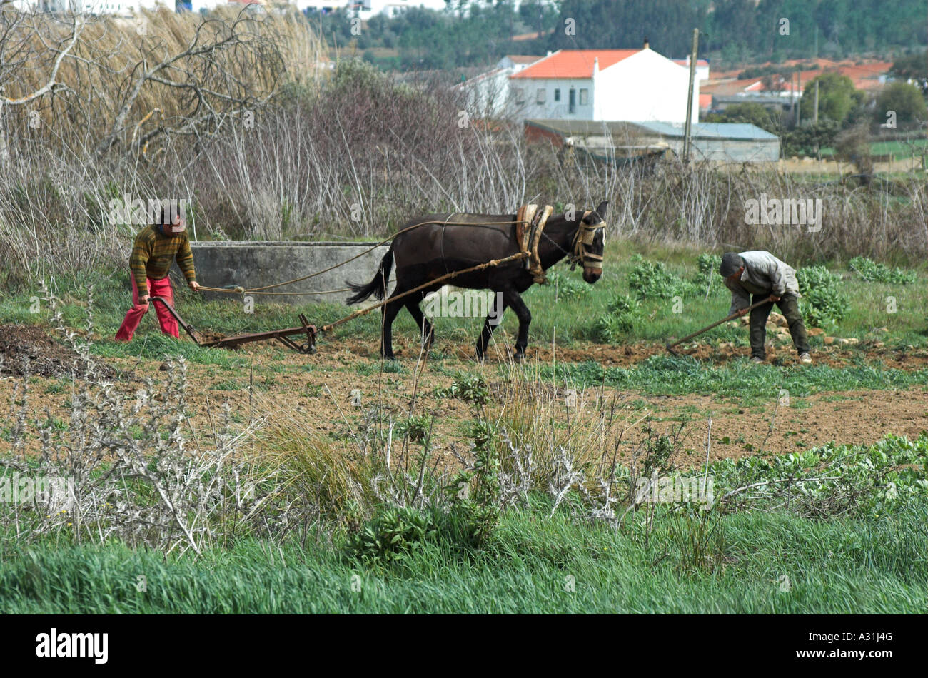 Hand plowing hi-res stock photography and images - Alamy