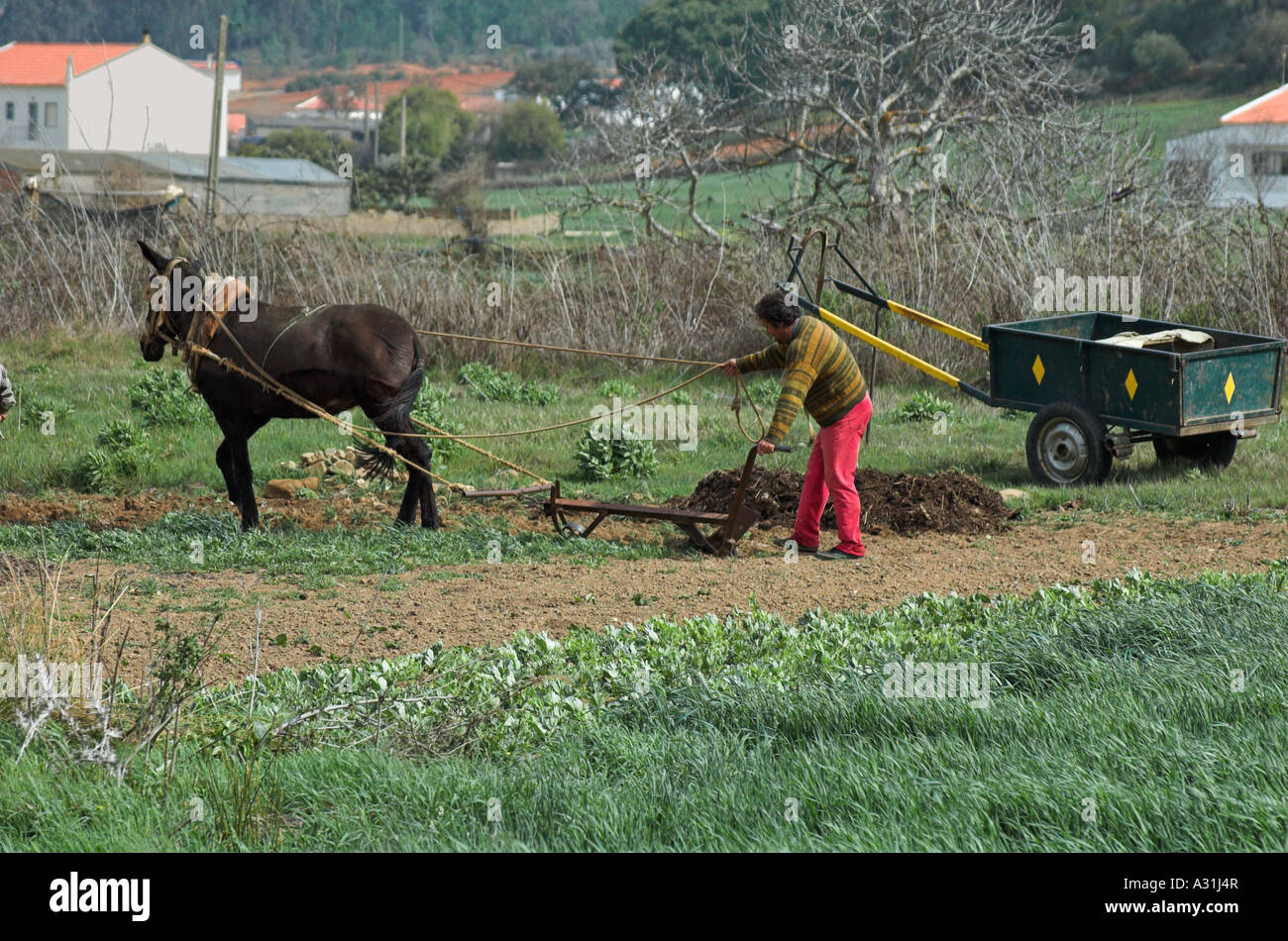 Hand Plowing High Resolution Stock Photography and Images - Alamy