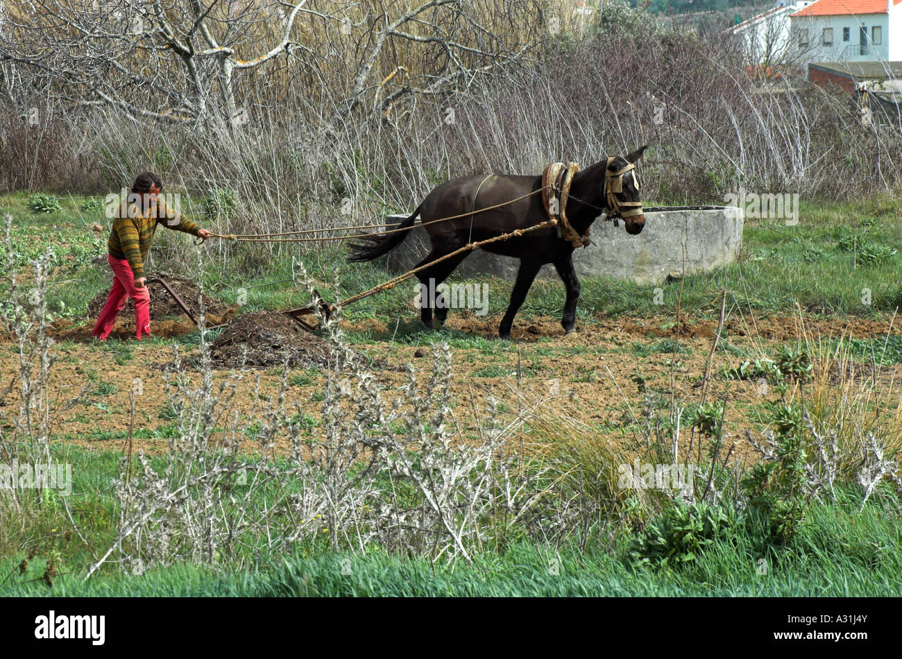 Farmer hand plowing field hi-res stock photography and images - Alamy