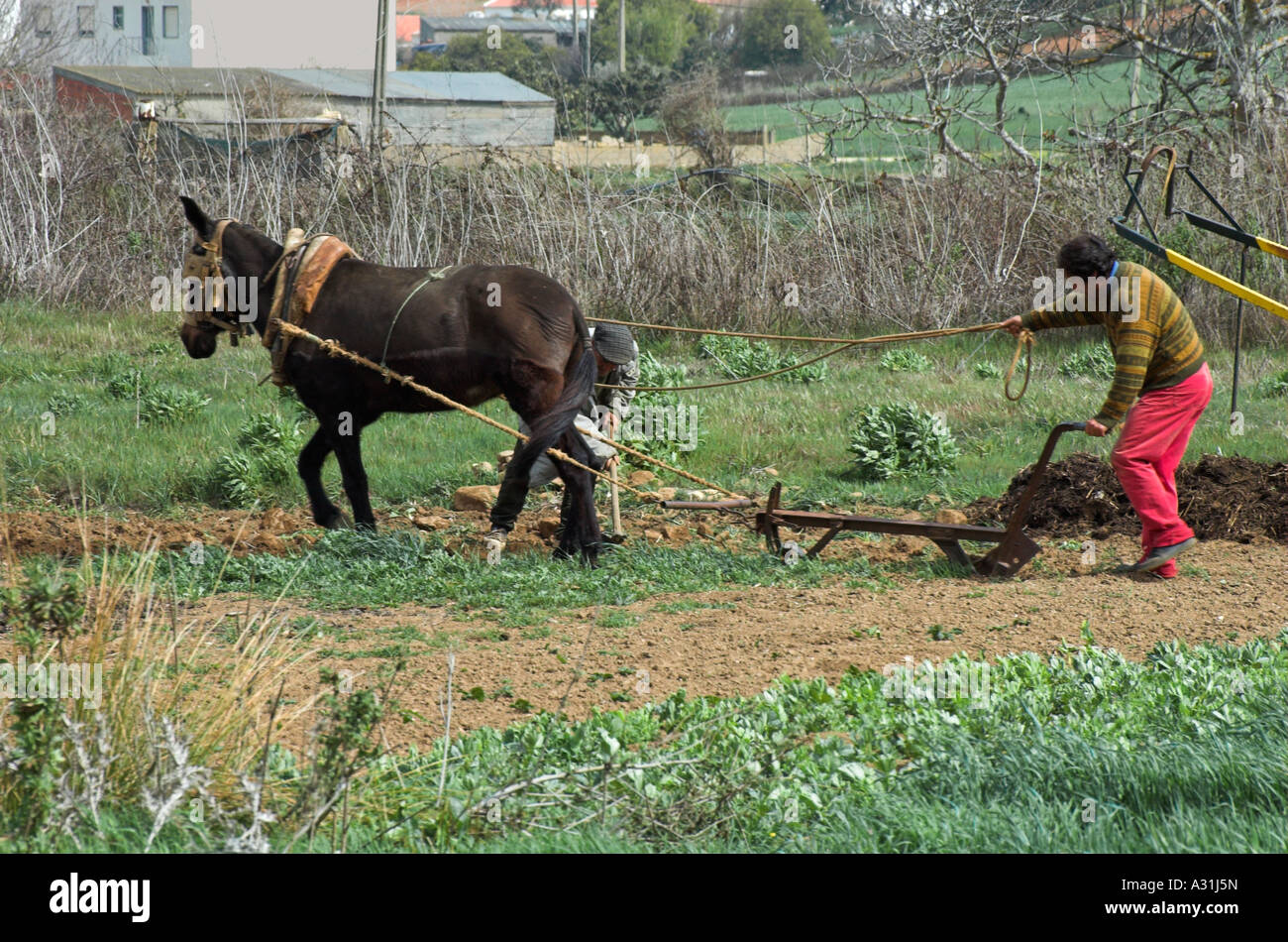 Hand plowing hi-res stock photography and images - Alamy