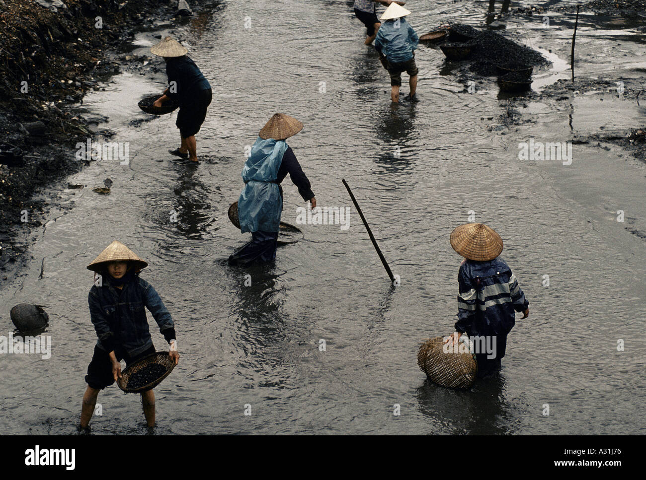 Collecting sea coal hi-res stock photography and images - Alamy
