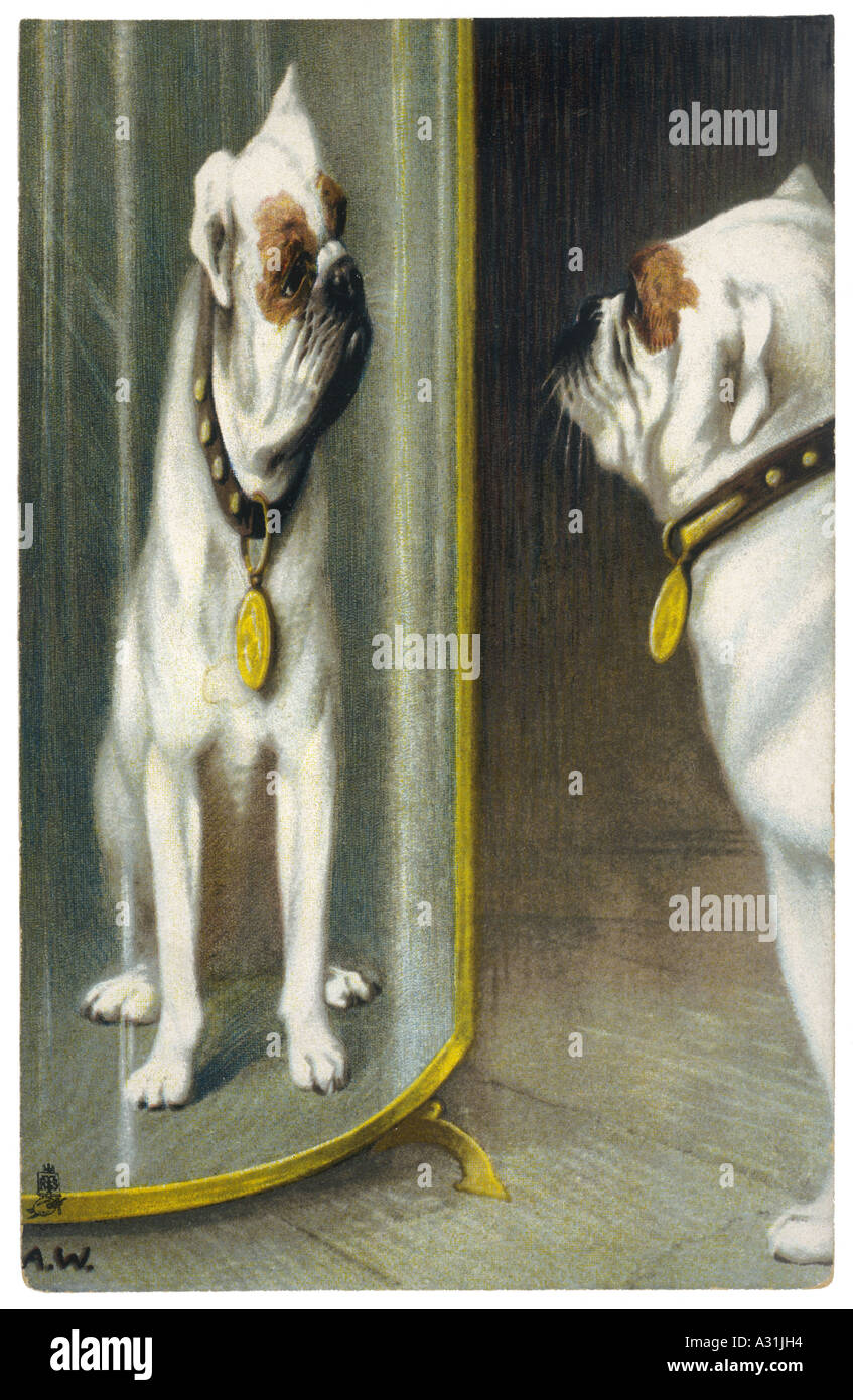 Distorted hi-res stock photography and images - Alamy