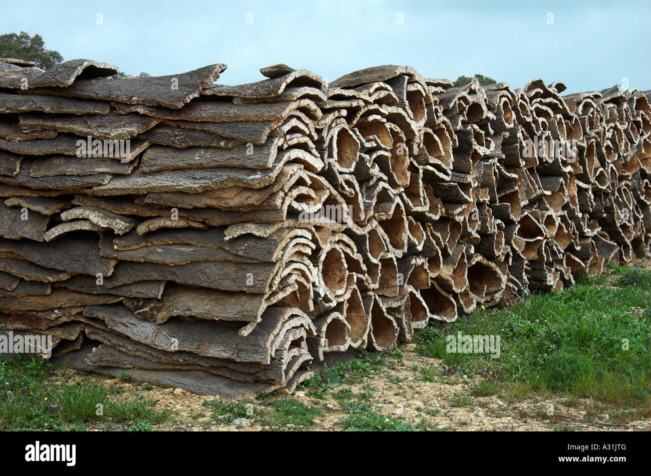 Cork layer hi-res stock photography and images - Alamy
