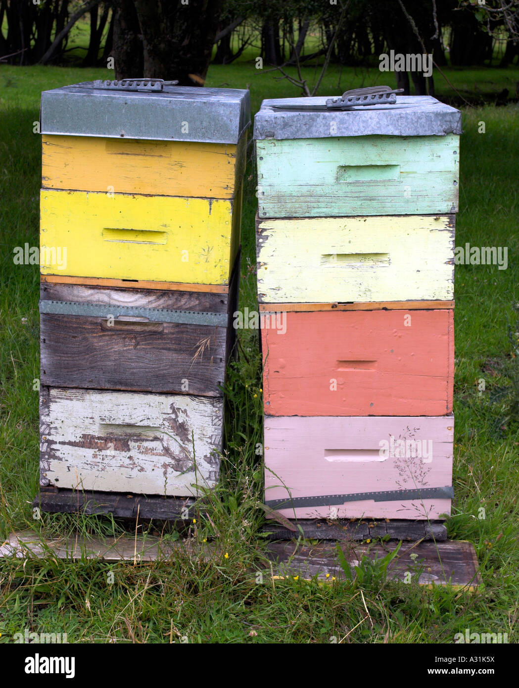 Coloured Bee Hives High Resolution Stock Photography and Images - Alamy