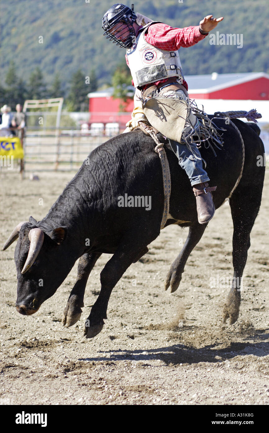 Bull Riding at the North American High School Rodeo Stock Photo - Alamy