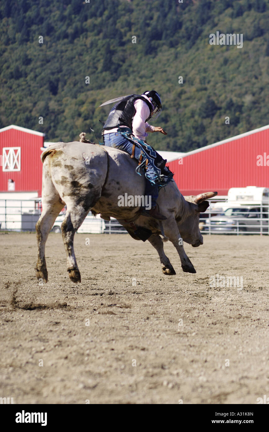 High school rider hi-res stock photography and images - Alamy