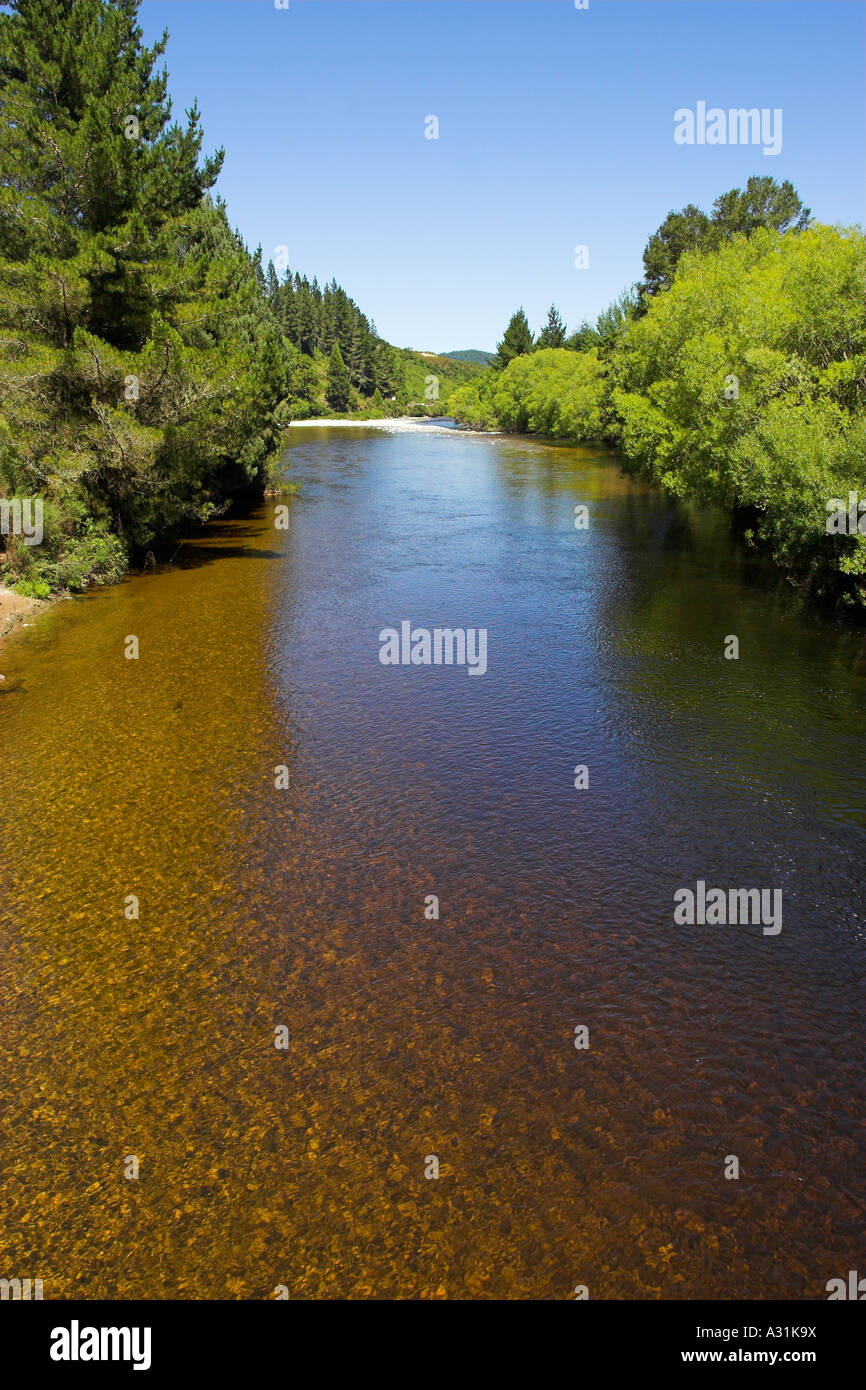 Inangahua river near Reefton on the South Island, New Zealand Stock ...