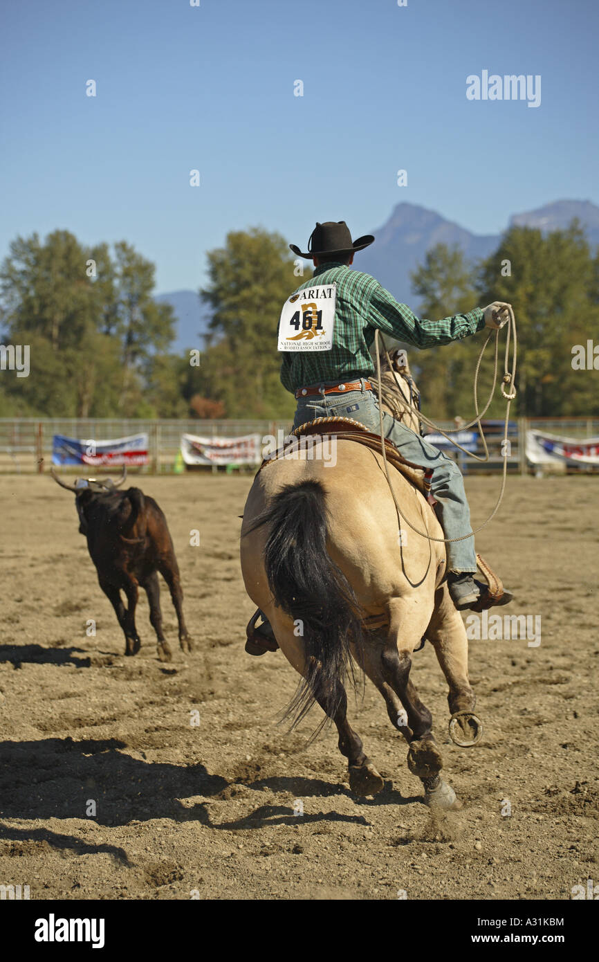 Roping at North American Rodeo Stock Photo - Alamy