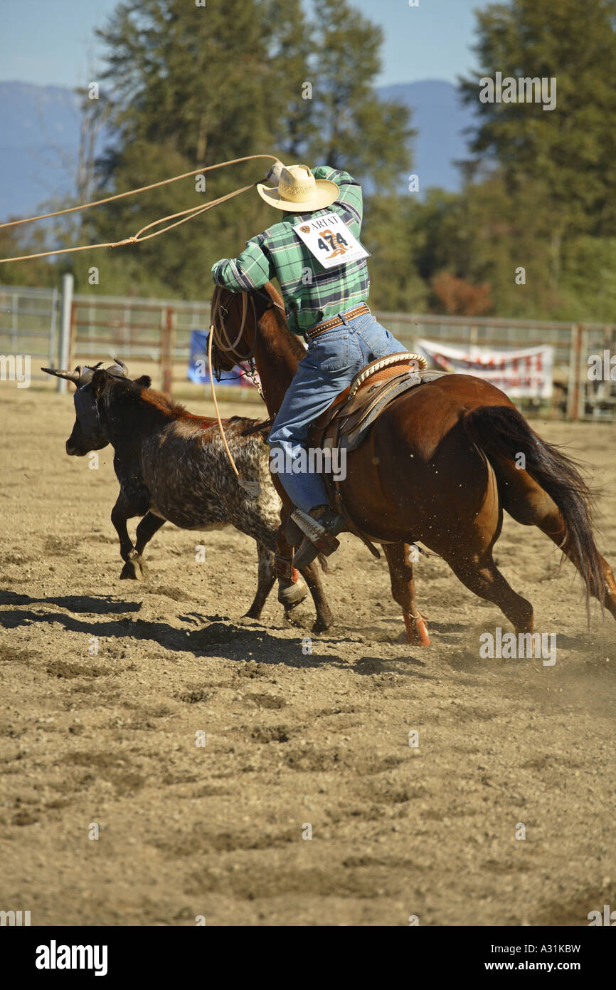 Roping at North American Rodeo Stock Photo - Alamy