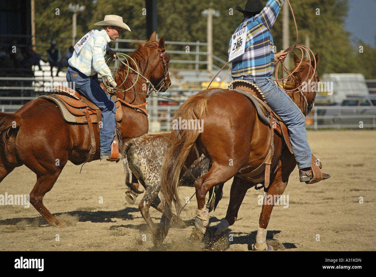 Men roping hi-res stock photography and images - Alamy
