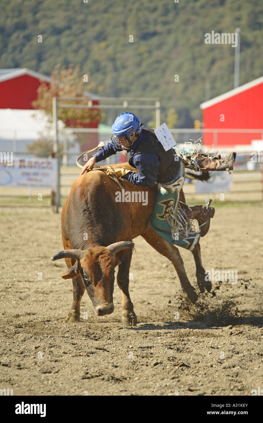 Bull Riding at the North American High School Rodeo Stock Photo - Alamy