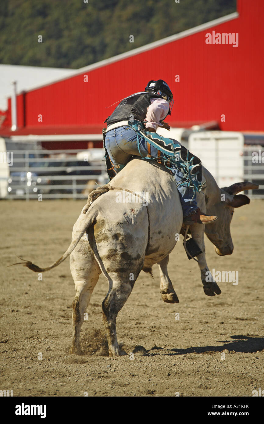 High school rider hi-res stock photography and images - Alamy