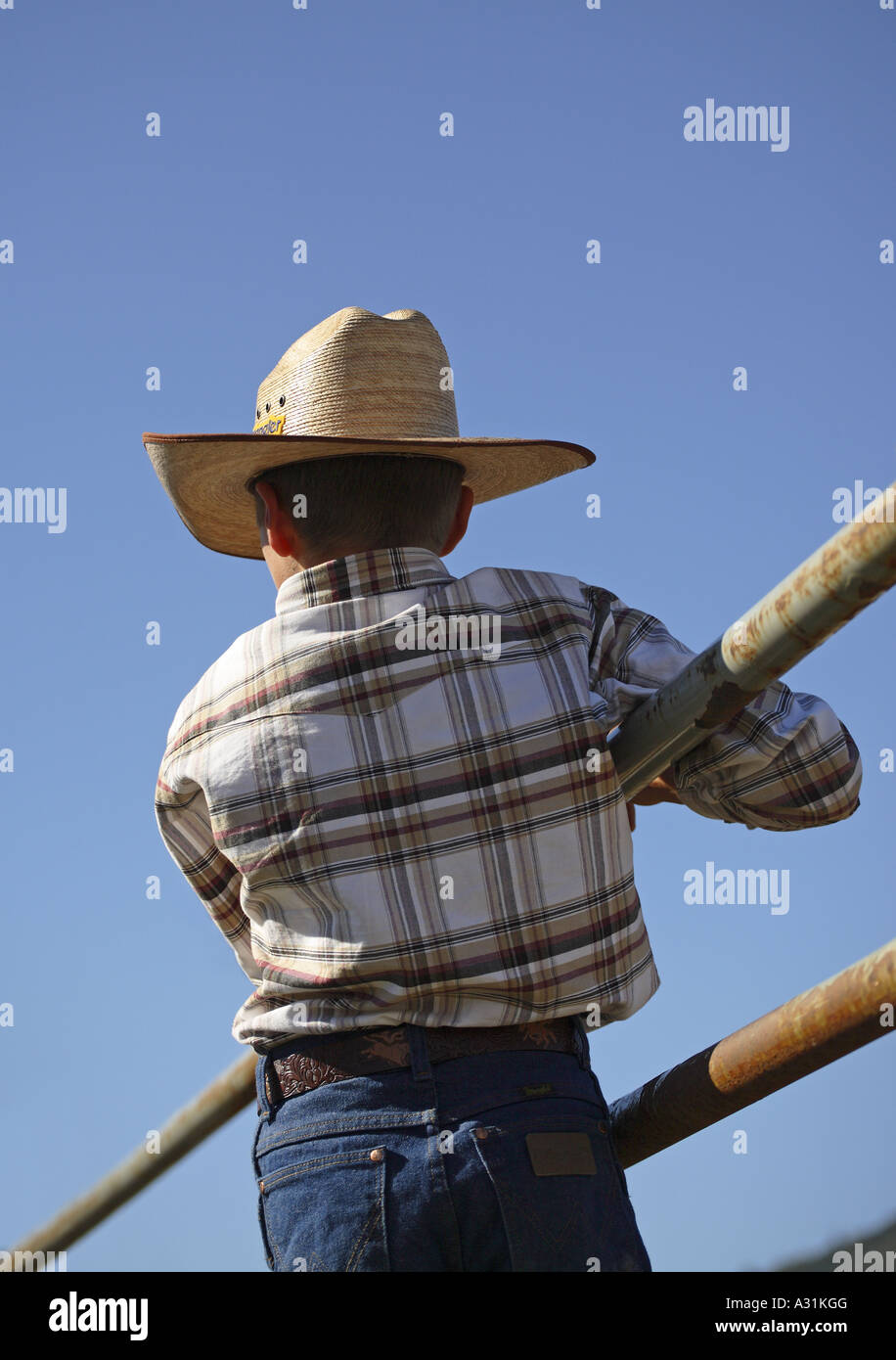At the rodeo Stock Photo - Alamy