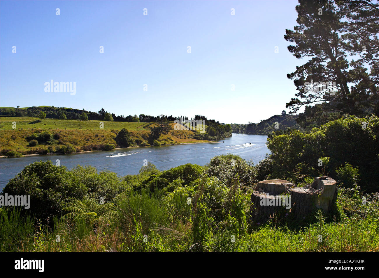 The mighty Waikato river gently flowing through the green New Zealand ...