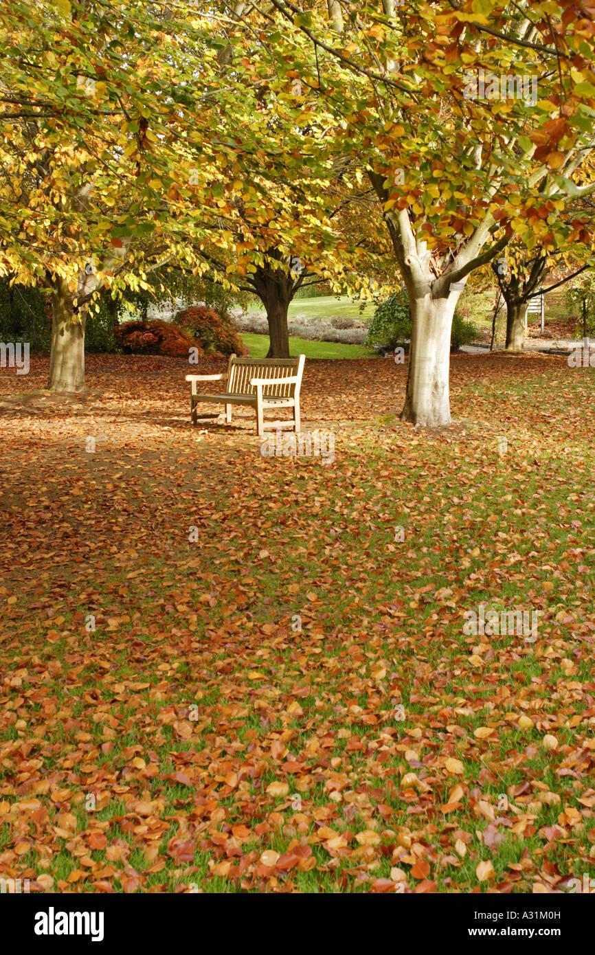VanDusen Botanical Garden, Vancouver, Canada Stock Photo - Alamy