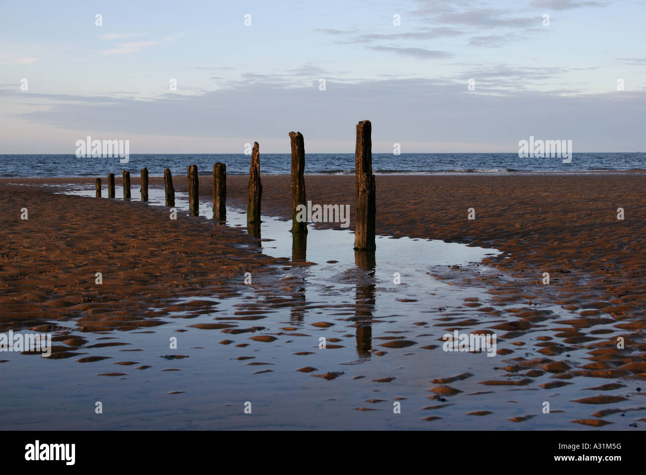 Brancaster Sticks. Norfolk Stock Photo - Alamy