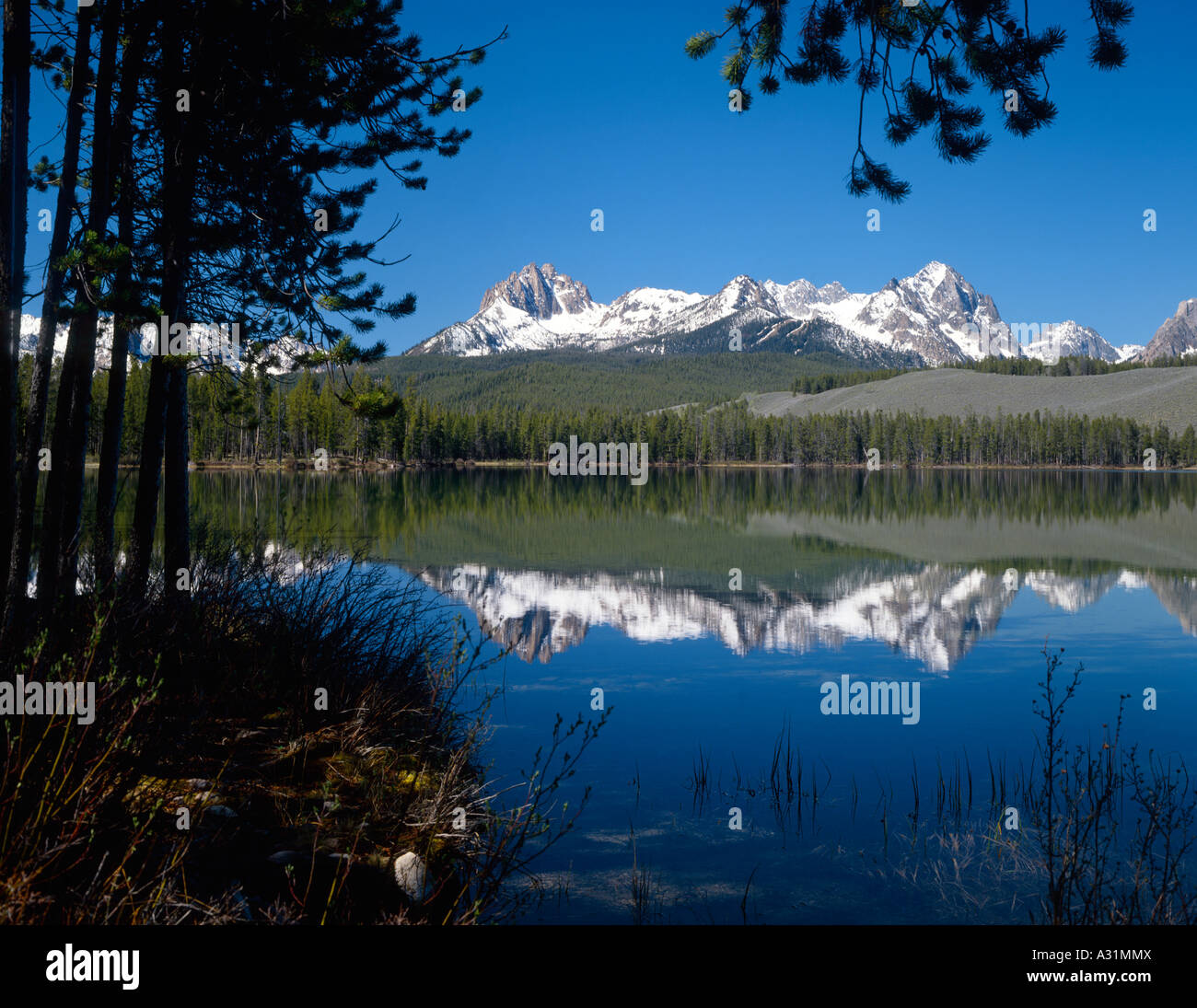 Rugged summits of the Sawtooth mountain range tower over Little Redfish ...