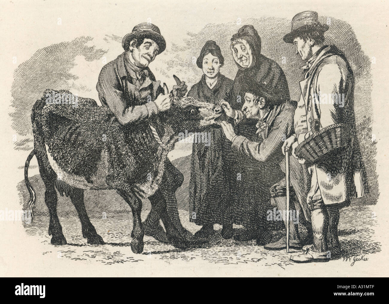 Buying A Cow Scotland Stock Photo - Alamy