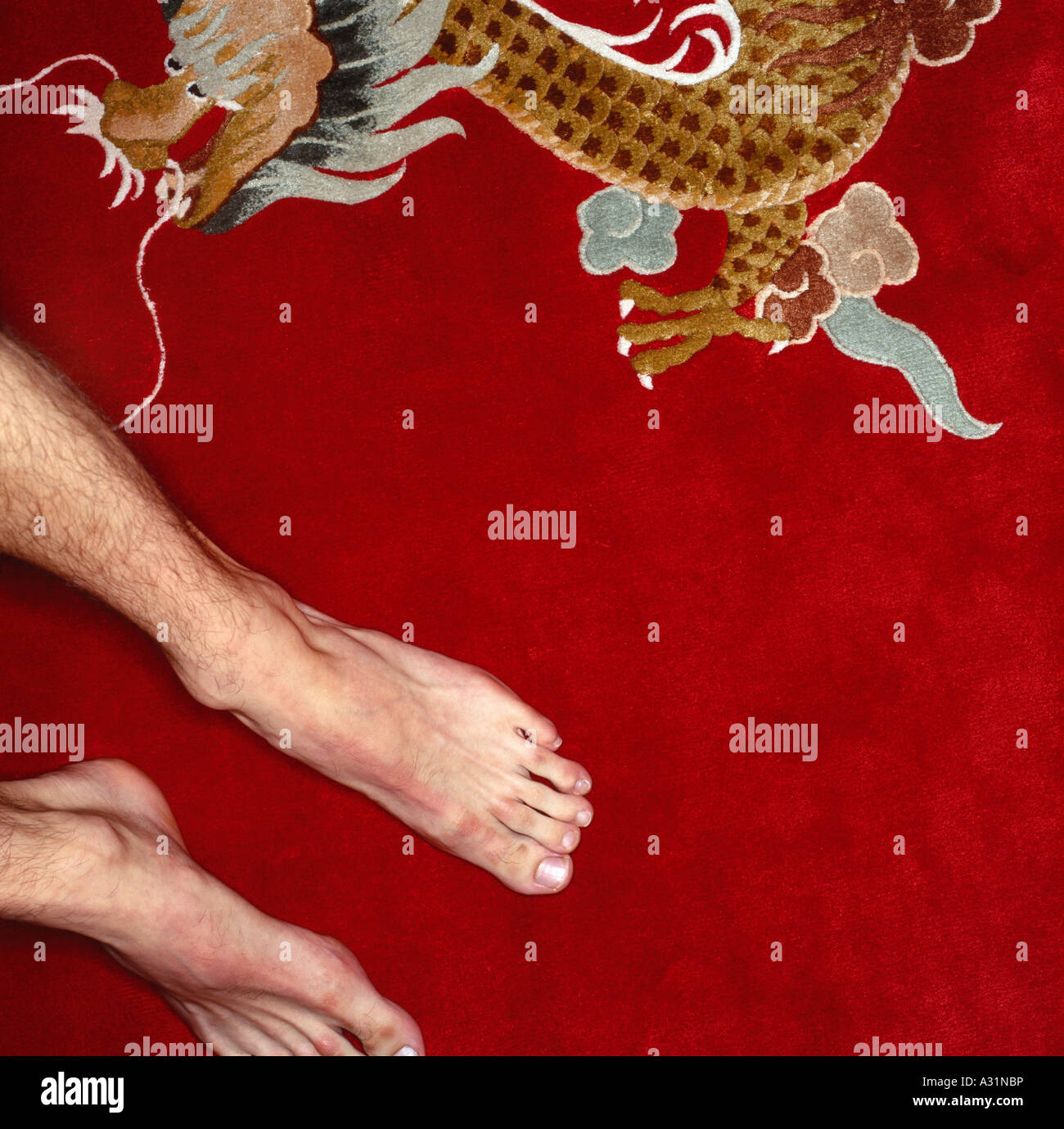 Dragon feet hi-res stock photography and images - Alamy