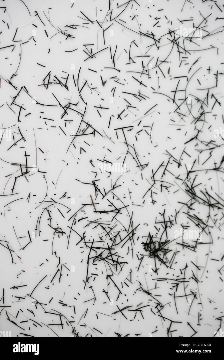 Short snippets of human hair Stock Photo - Alamy