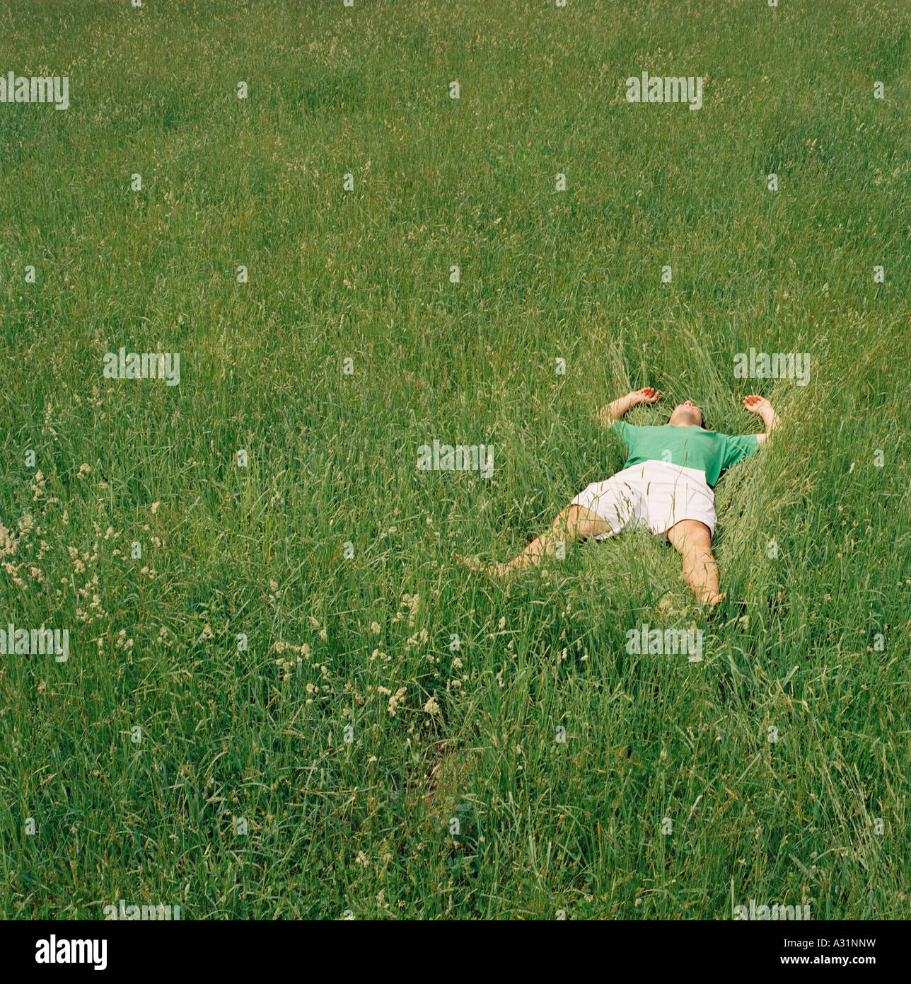 Man lying down in field of grass Stock Photo - Alamy