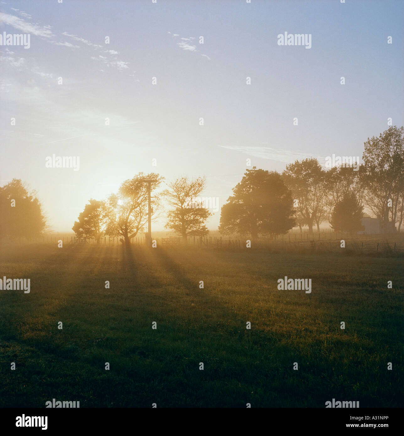 Sunset over field Stock Photo - Alamy