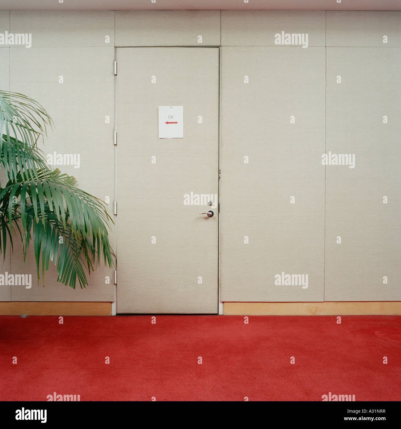 Closed office door with plant hi-res stock photography and images - Alamy