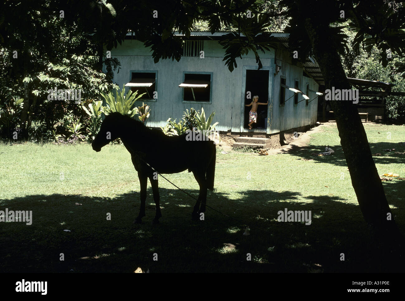 Omoa hi-res stock photography and images - Alamy