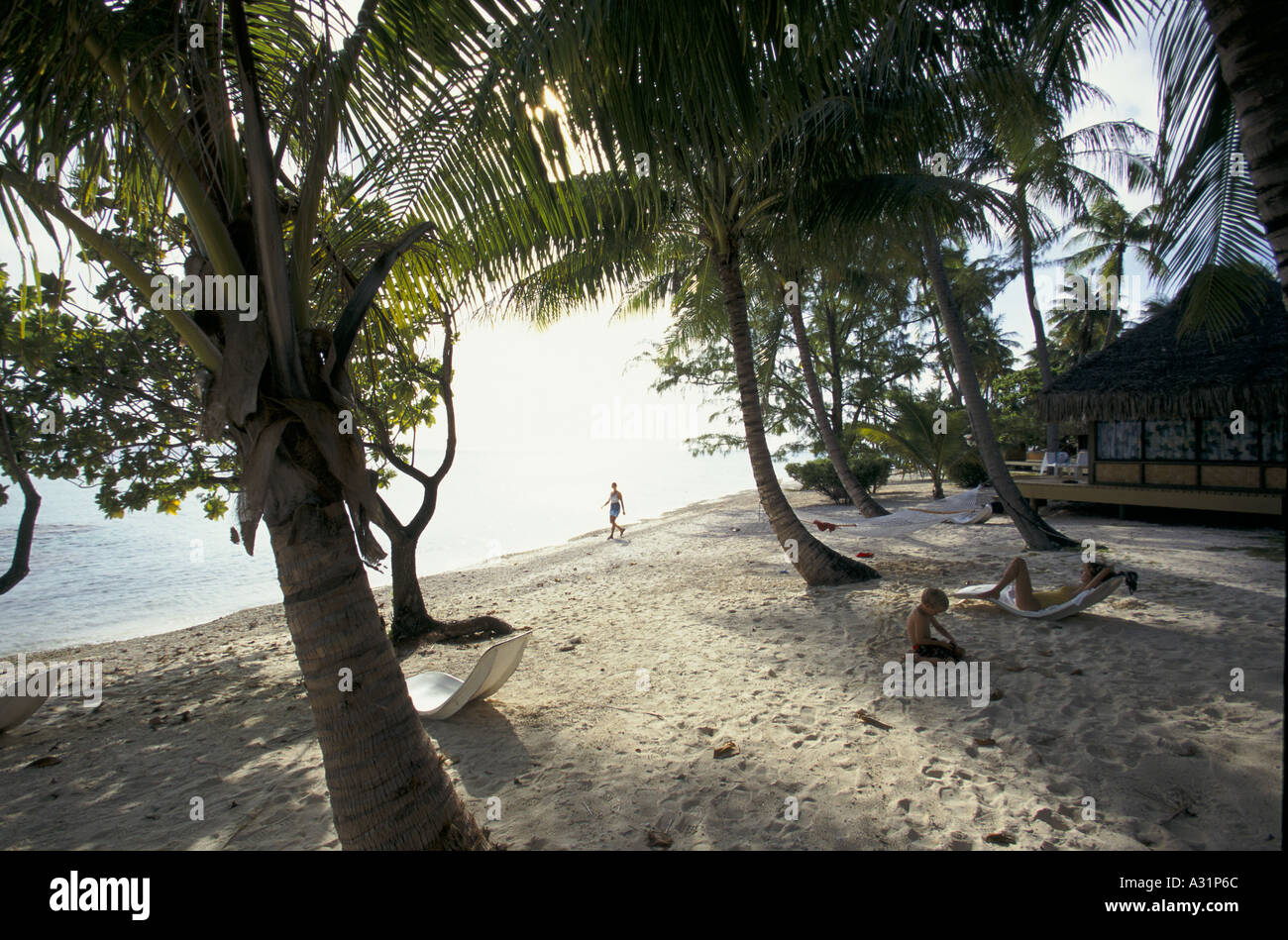 beach scene french polynesia rangiroa the tuamotus islands 1995 Stock ...