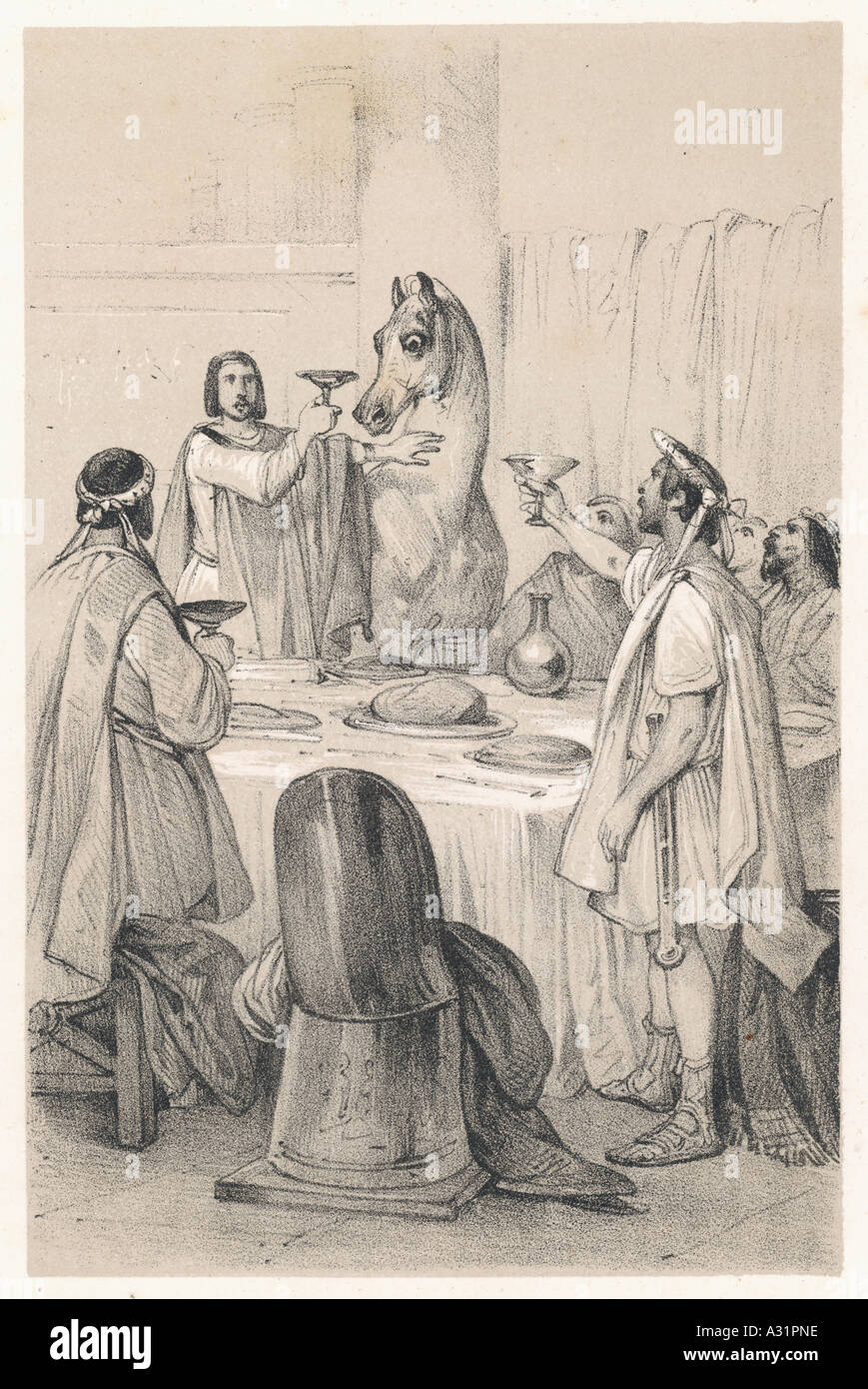 Caligula horse hi-res stock photography and images - Alamy