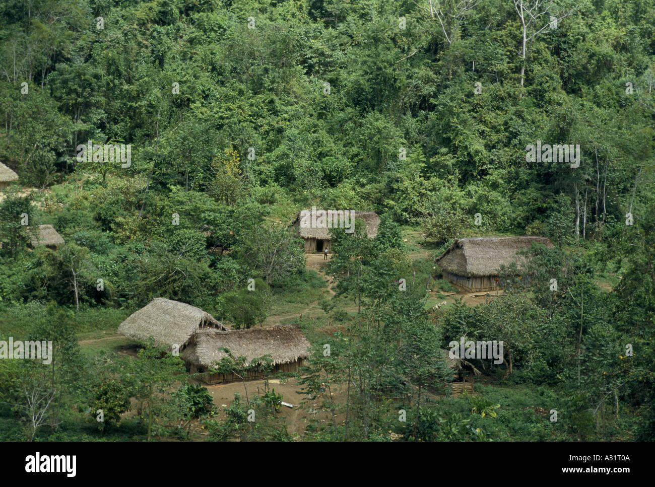 jungle village belize Stock Photo - Alamy