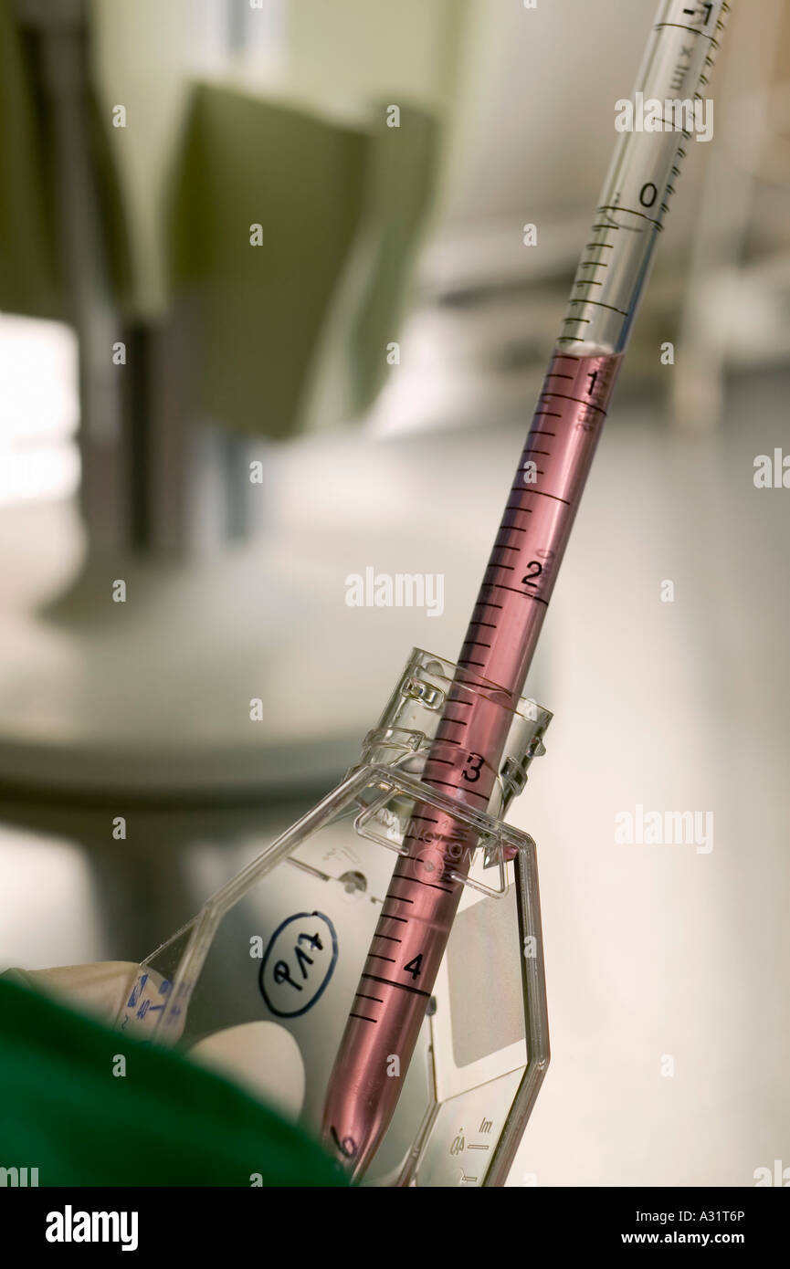 Scientist measuring pink solution in a laboratory Stock Photo - Alamy