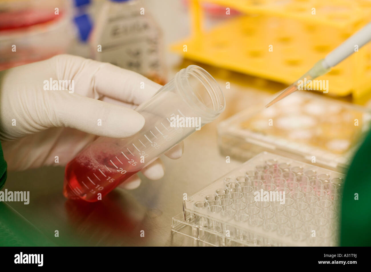 Scientist measuring pink solution in a laboratory Stock Photo - Alamy
