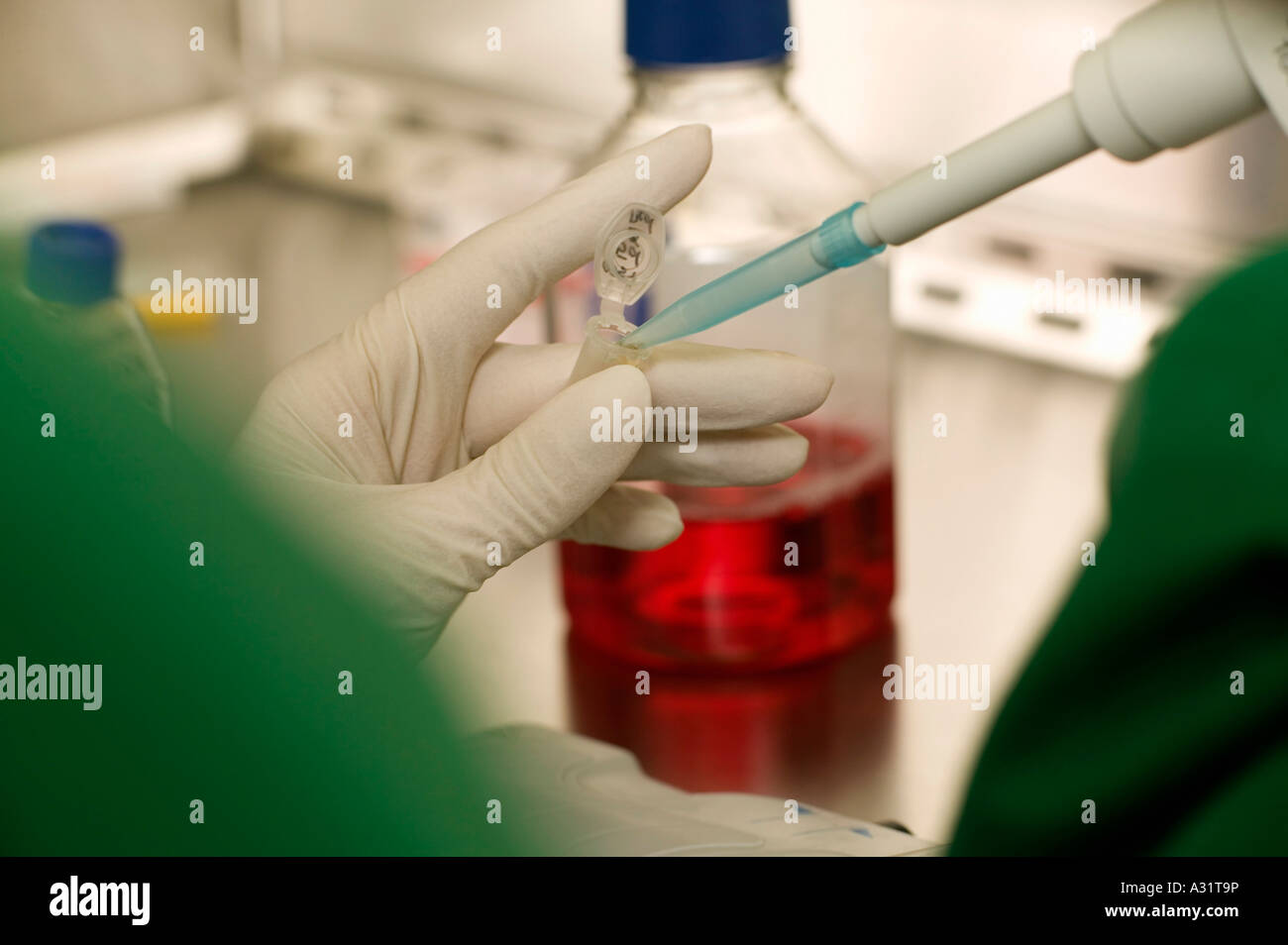 Scientist measuring solution with a pipette Stock Photo - Alamy
