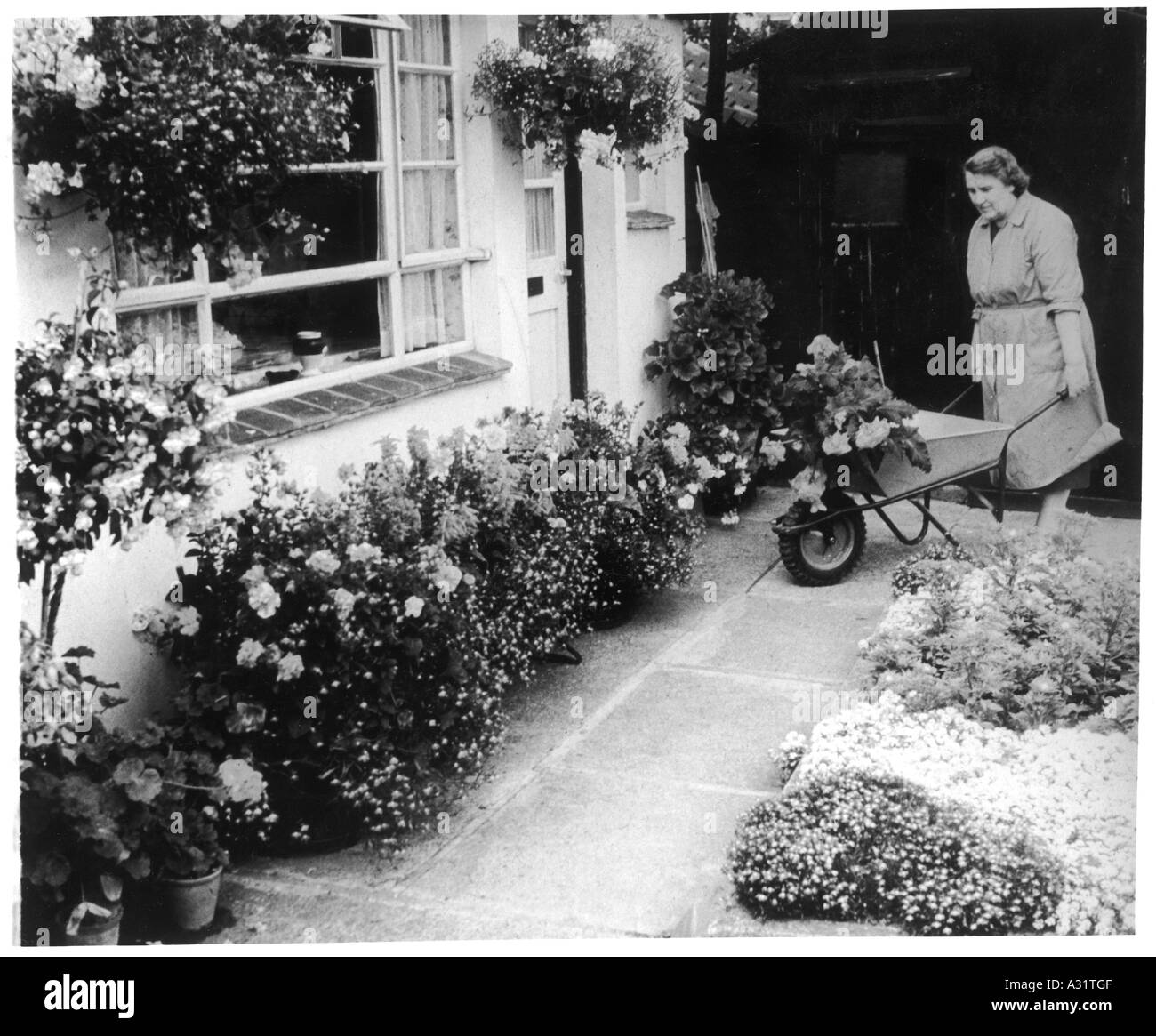 Woman wheelbarrow garden Black and White Stock Photos & Images - Alamy