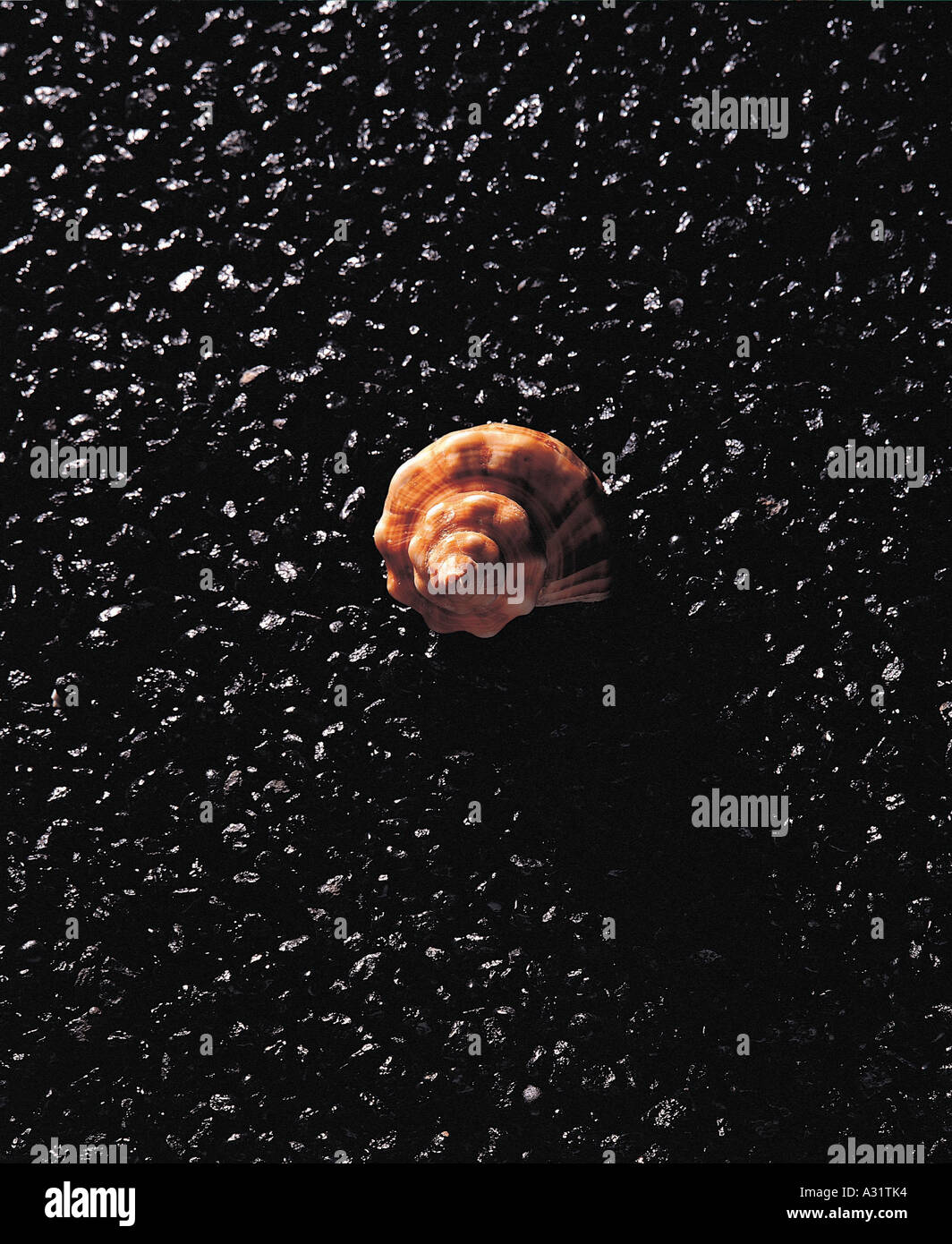 Exterior husk hi-res stock photography and images - Alamy