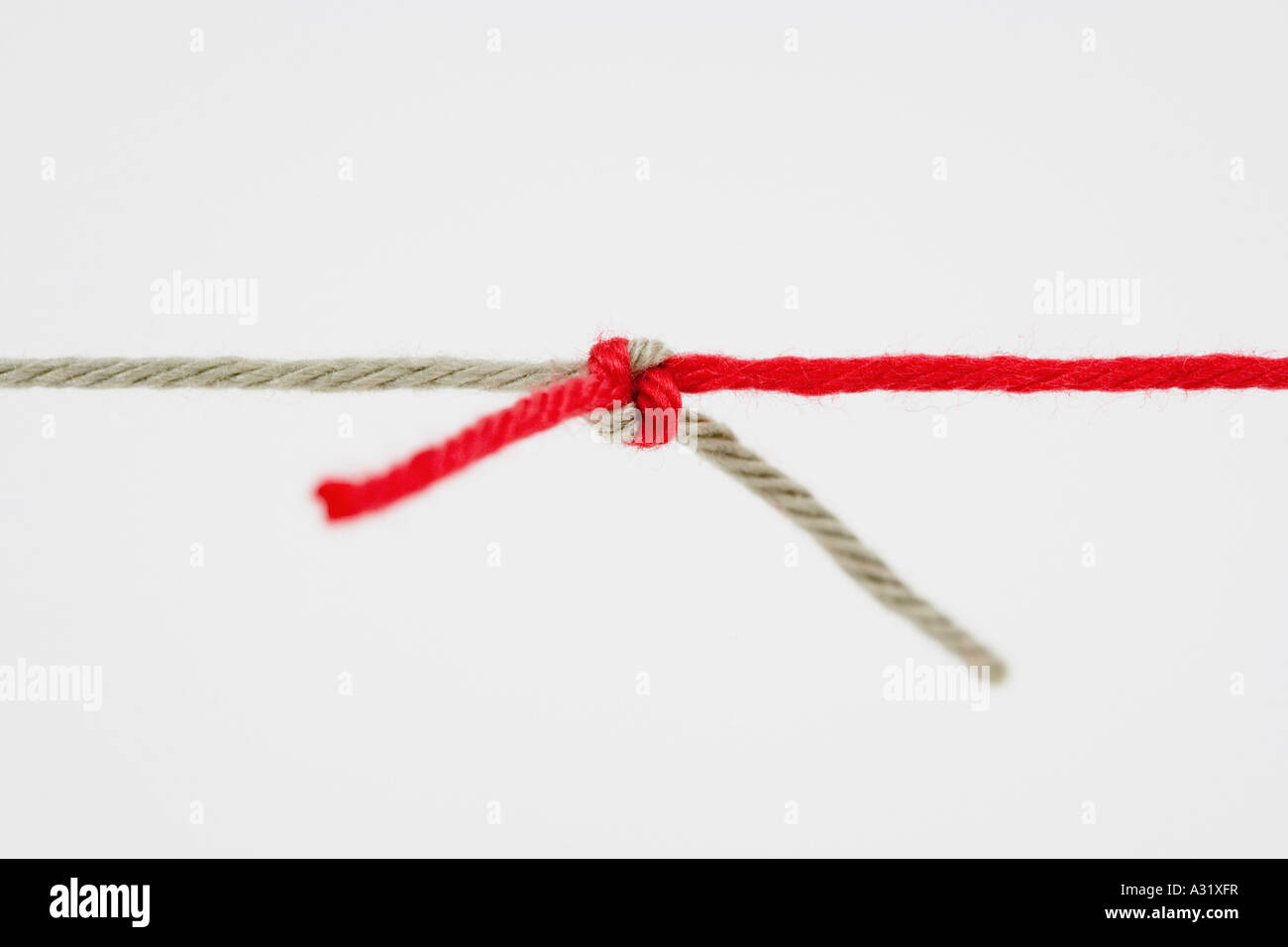 Two stands of wool tied together Stock Photo - Alamy