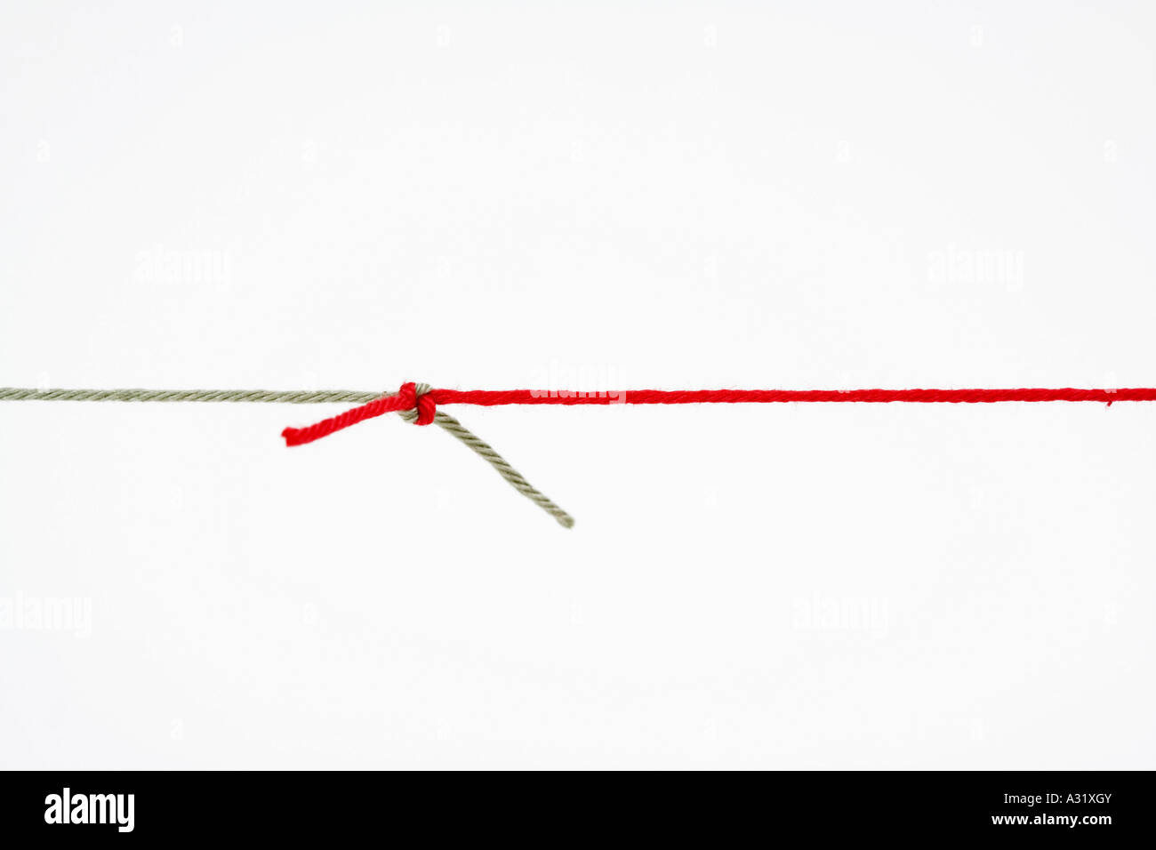 Two stands of wool tied together Stock Photo - Alamy