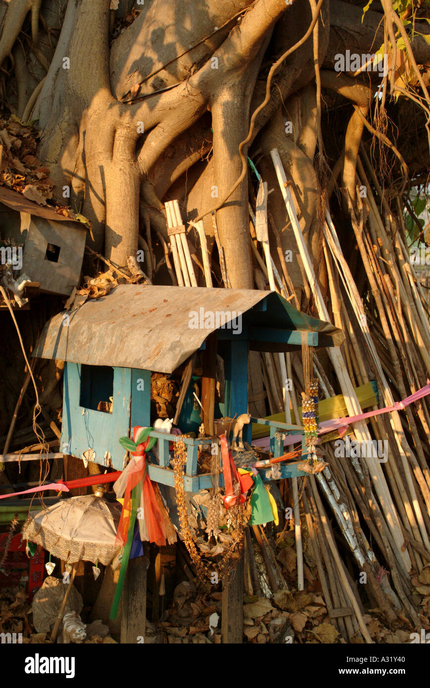 Offerings at sacred tree Wat Chong Klang Burmese style temple Mae Hong ...