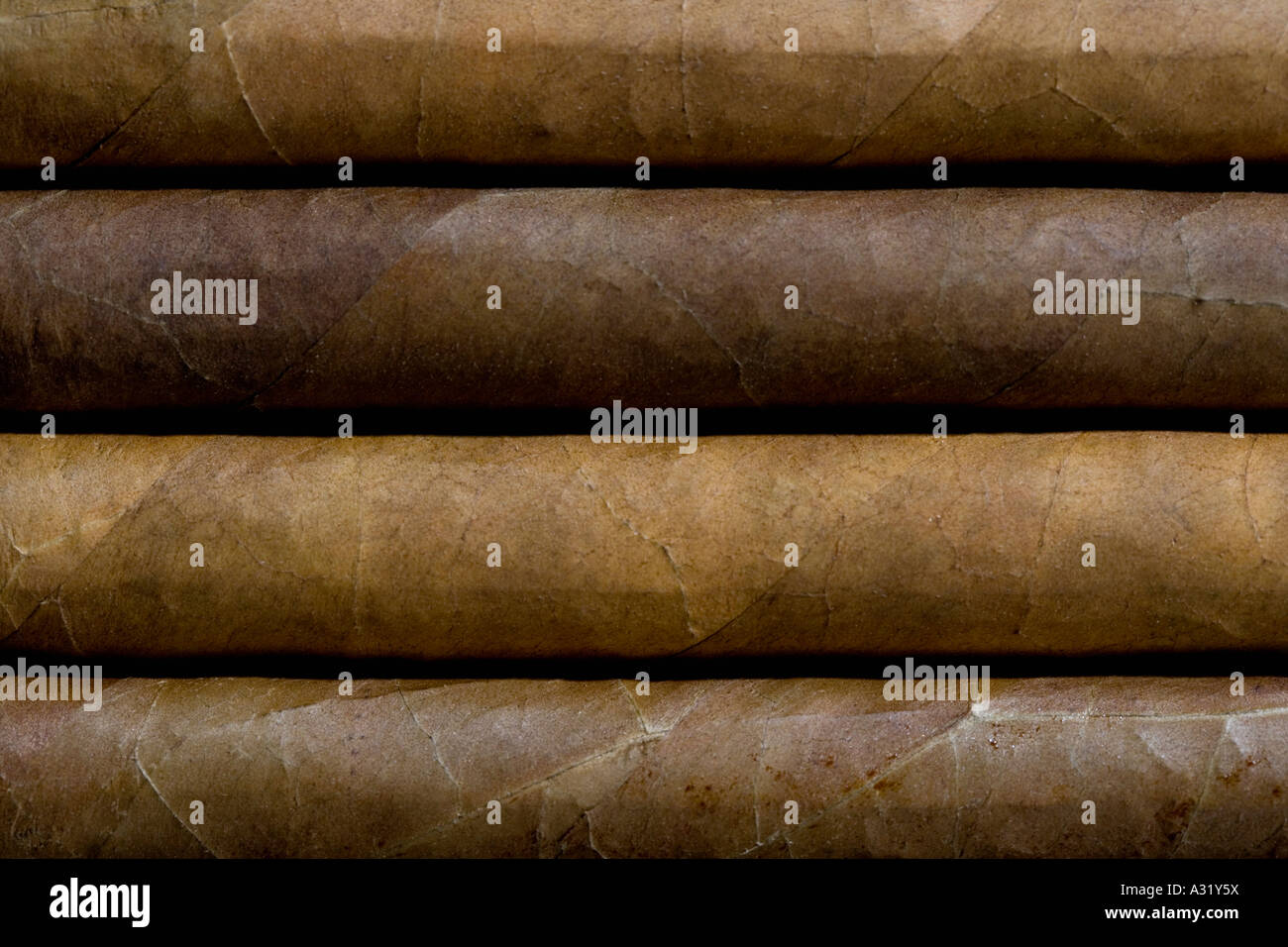 Four cigars side by side Stock Photo - Alamy
