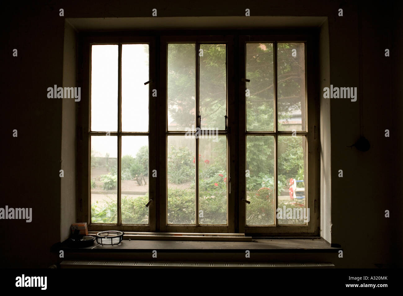 View through window onto garden Stock Photo - Alamy