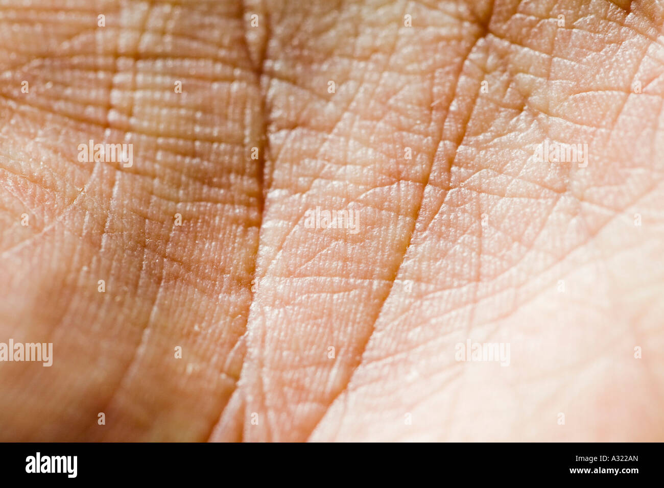 Close up of palm of hand Stock Photo - Alamy